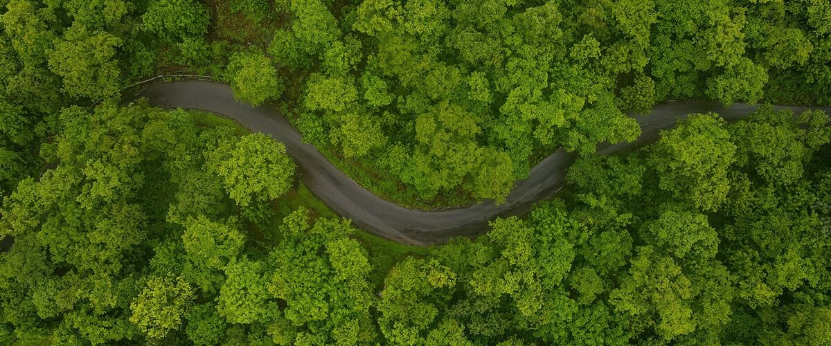 Creative Car Park Celebrates Earth Day